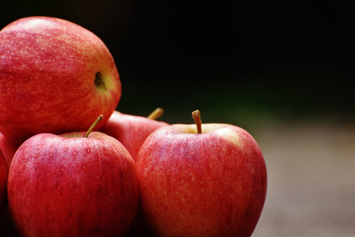 Aayush Impex – Fruit Importer & Trader